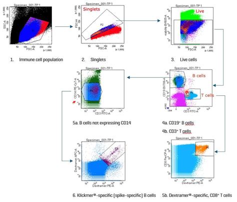 Characterizing Antigen Specific B And T Cells In A Single Sample With