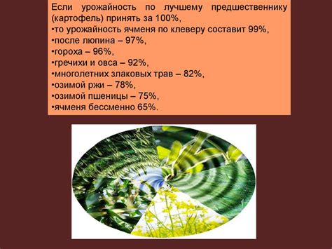 Технологии возделывания ячменя презентация онлайн