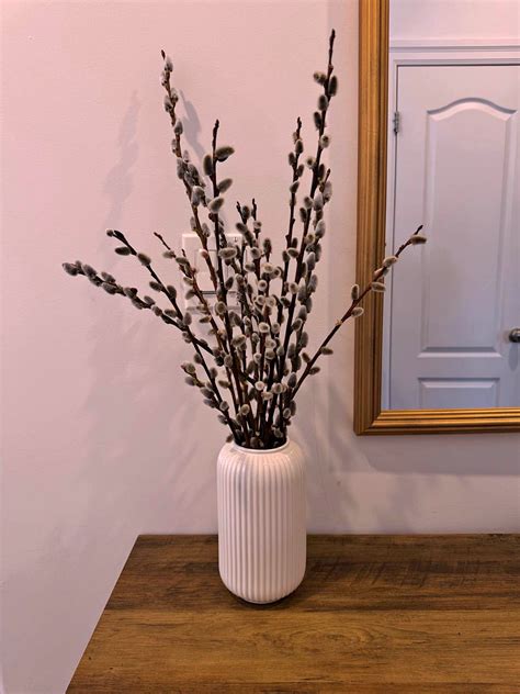 Fresh Pussy Willow Branches Artificial Plants And Flowers Barrie