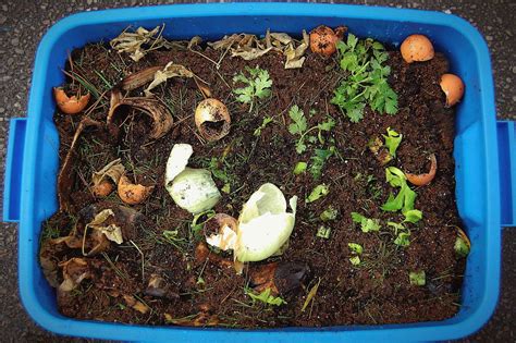 How To Make A Compost Bin Using Plastic Storage Containers