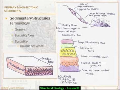 Sedimentary Structures