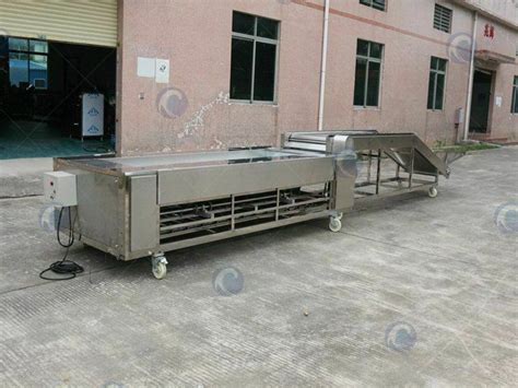 integrated vegetable washing drying grading line supplier