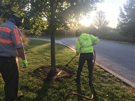 Kramer Tree Specialists