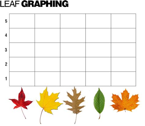 Tree Graph Leaf At Mario Rios Blog