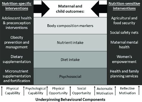 Framework Describing The Way In Which Nutrition Specific And Download Scientific Diagram
