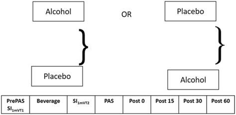 酒精对背外侧前额叶皮层神经可塑性的影响。 Scientific Reports X Mol