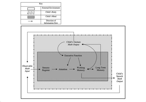 Combined Model Of Information Processing And Embodied Cognition