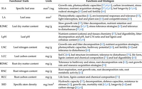 Functional Traits Associated To Plant Strategies Ecological Functions