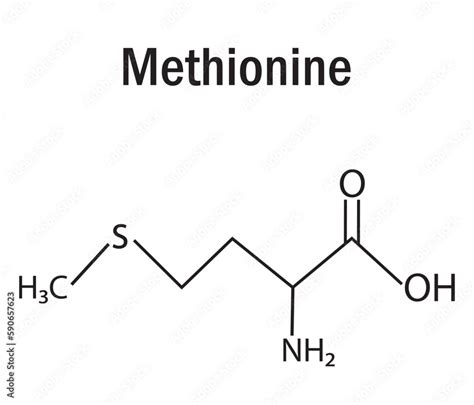 Methionine Amino Acid Formula And Structure Chemical Molecular Formula