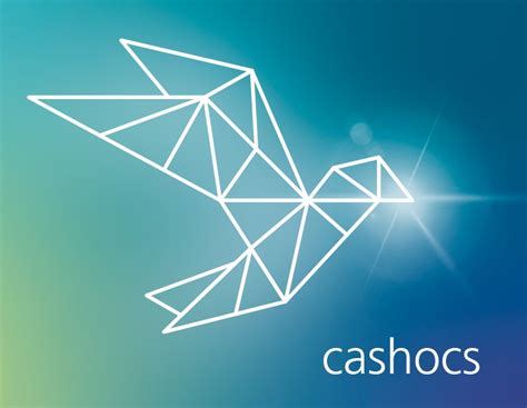 Cashocs Fluid Dynamical Shape Optimization Software Fraunhofer Itwm