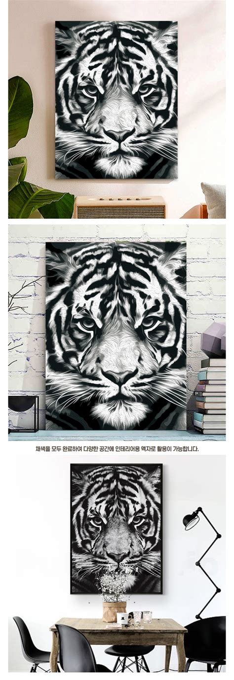 Diy명화그리기 호랑이 유화그림그리기세트 Diy명화그리기 색칠하기 오늘의집 쇼핑