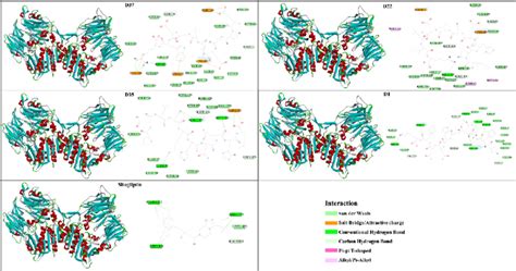 3d Docking Complexes And 2d Diagrams Between The Four Core Dpp Iv