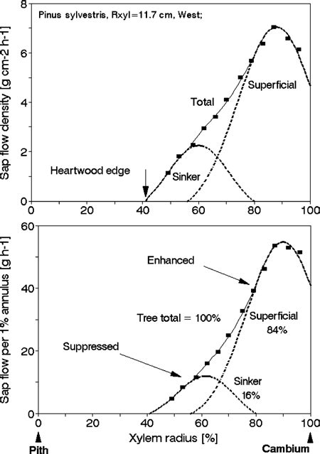 Example Of The Radial Pattern Of Sap Flow Density Top Panel And Of Download Scientific