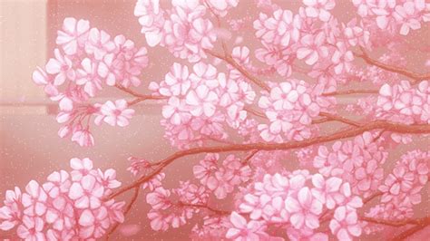 Cherry Blossom Gif Icegif