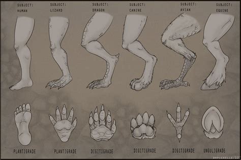 Pin By Александр Бичовский On Всяческие Рисунки Feet Drawing Drawing Reference Dragon Feet