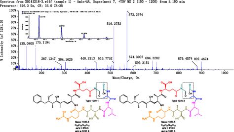 isotope distribution ms² spectrum and possible molecular structure of