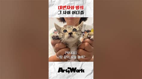 이것은 빙의인가 유기묘 고양이 웃긴영상 Youtube