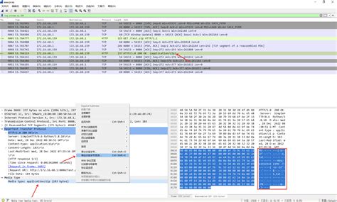 Wireshark流量分析还原zip文件wireshark提取压缩包 Csdn博客