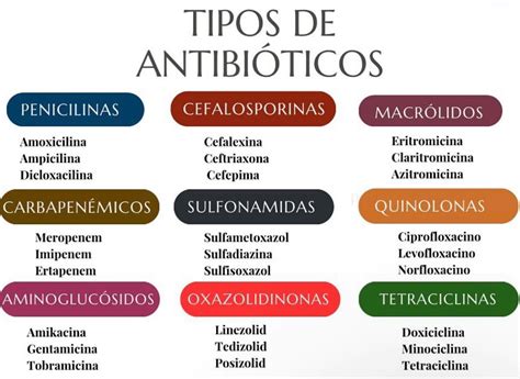 Smile Esta Imagen Muestra Una Clasificación Básica De Los Principales