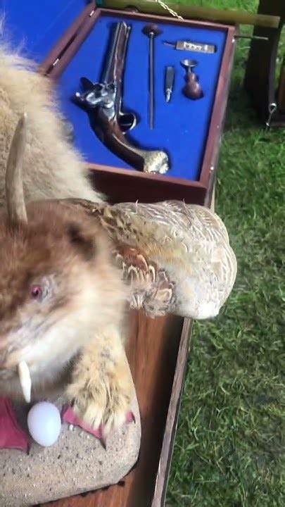 ЧТО ЭТО ЗА ЧУДО ЮДО Youtube