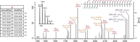Increased Serotransferrin And Ceruloplasmin Turnover In Diet Controlled Patients With Type 2