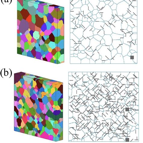 The 3d And 2d Cross Sectional Microstructures Of The Al Mmc With The