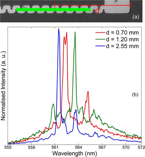 Optofluidic Random Laser A Laser Dye Flows In A 3 Mm Long Serpentine