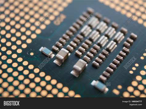 Closeup Macro Micro Image Photo Free Trial Bigstock