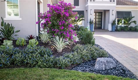 Bougainvillea Florida Landscaping Paradise Palms