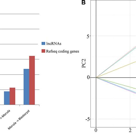 Global Gene Expression Patterns During The Seven Consecutive Stages Of