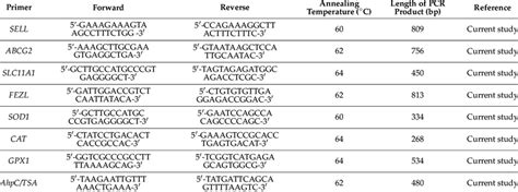 Forward And Reverse Primer Sequence Length Of Pcr Product And