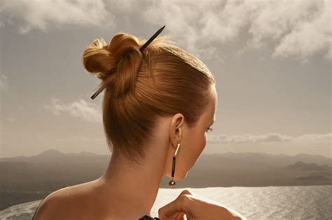 Le Chignon élégant
