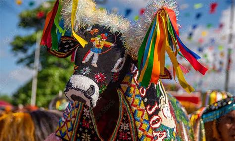 Festa De Bumba Meu Boi Binkedu