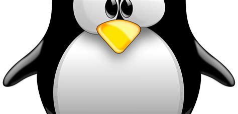 Windows Vs Linux Quel Système Dexploitation Choisir En 2025