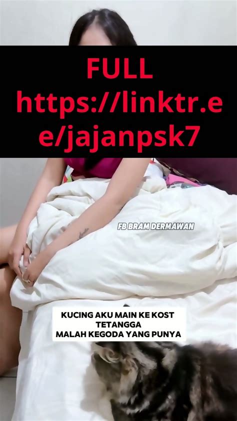 Berawal Dari Kucing Bisa Ngentot Cewek Cantik Eporner