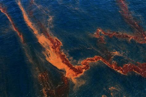 Big Oil Uses Toxic Chemicals To Clean Up Spills Will The Feds Finally