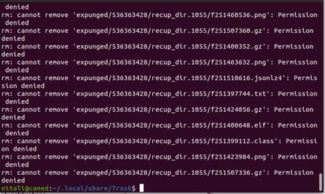 permission denied while deleting r askubuntu