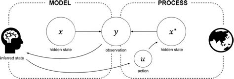 Neural Representation—perspectives From Neuroscience Annals Of The New
