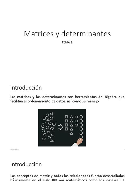 Leccion1 Introducción A Las Matrices Pdf Matriz Matemáticas Determinante