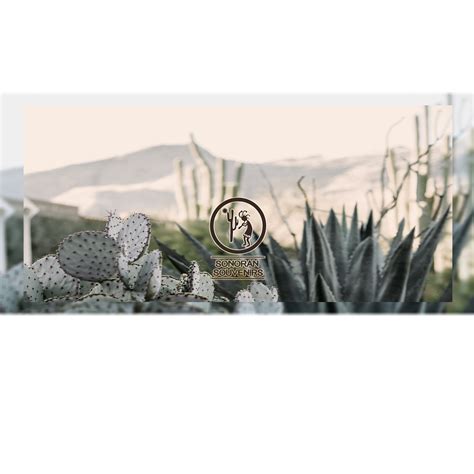 Sonoran Souvenirs