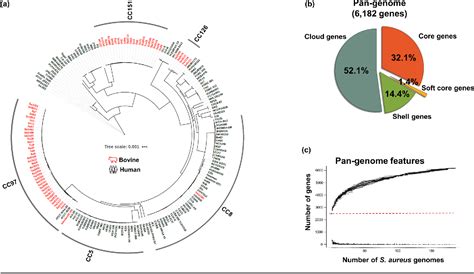 Figure 1 From Comparative Genomic Analysis Of Staphylococcus Aureus Isolates Associated With