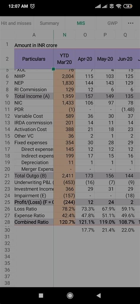 do the data analytics entry formatting works in microsoft excel by
