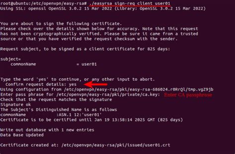 How To Set Up OpenVPN With Stunnel On Ubuntu Server