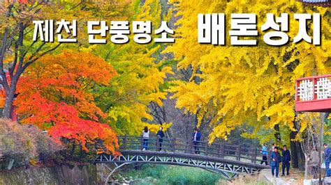 제천 단풍명소 꼭 가봐야할 가을여행지 제천여행 배론성지 충청단풍명소 단풍구경 단풍명소 Jecheon Maple Foliage Spot Baeron Shrine
