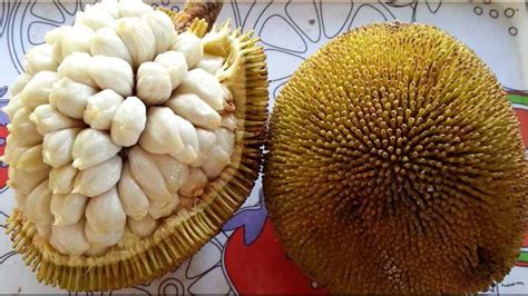 Digelar Milkshake Sarawak Kenali Buah Pedalai Persis Tarap Yang Manis Dan Berkrim