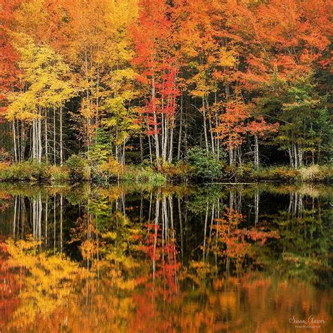 400 Fall Landscapes Ideas To Save Today Scenery Beautiful Places