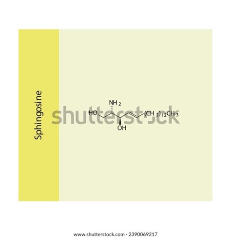 Molecular Structure Diagram Sphingosine Sphingoid Base Stock Vector