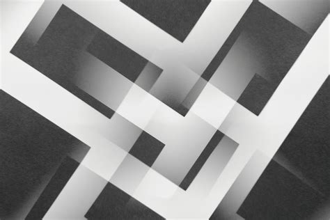 Crow Migration Patterns And Routes Homey Gears