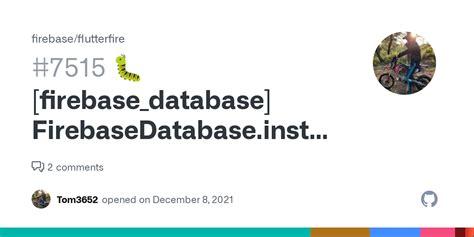 Firebase Database FirebaseDatabase Instance Ref Crashes On IOS If
