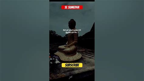 නෙත සැනසිල්ල බුදු හිමි රුව දැකීමය 🙏🩷💫 Shorts Youtube